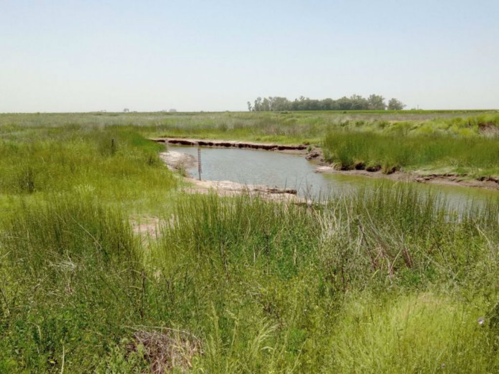 El río Quinto ingresa a La Pampa con un caudal de 2 metros cúbicos por ...