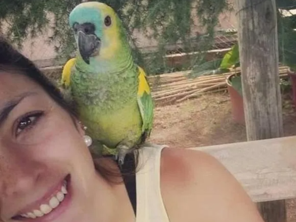 Toay: teme por la vida de Adolfo, un loro que cría desde hace 13 años y ...