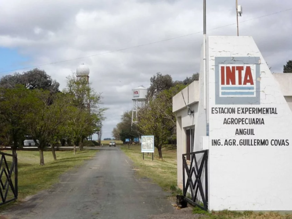 Investigan a tres personas que vendían animales del INTA Anguil ...