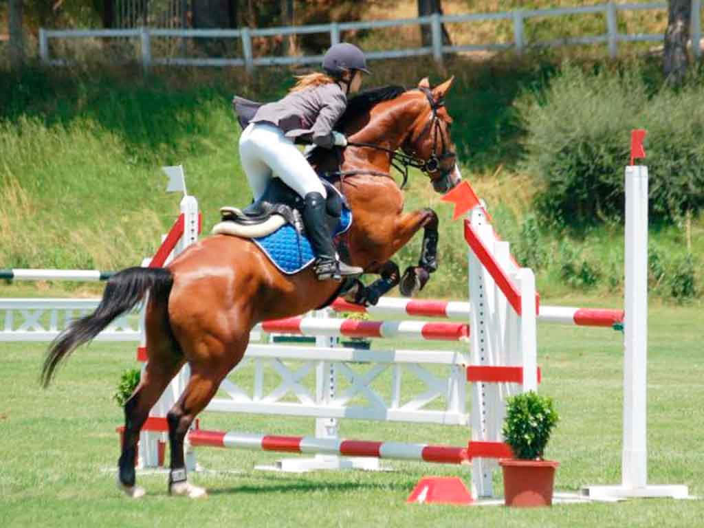 Equitación: Destacada participación del Club Maracó - maracódigital.net