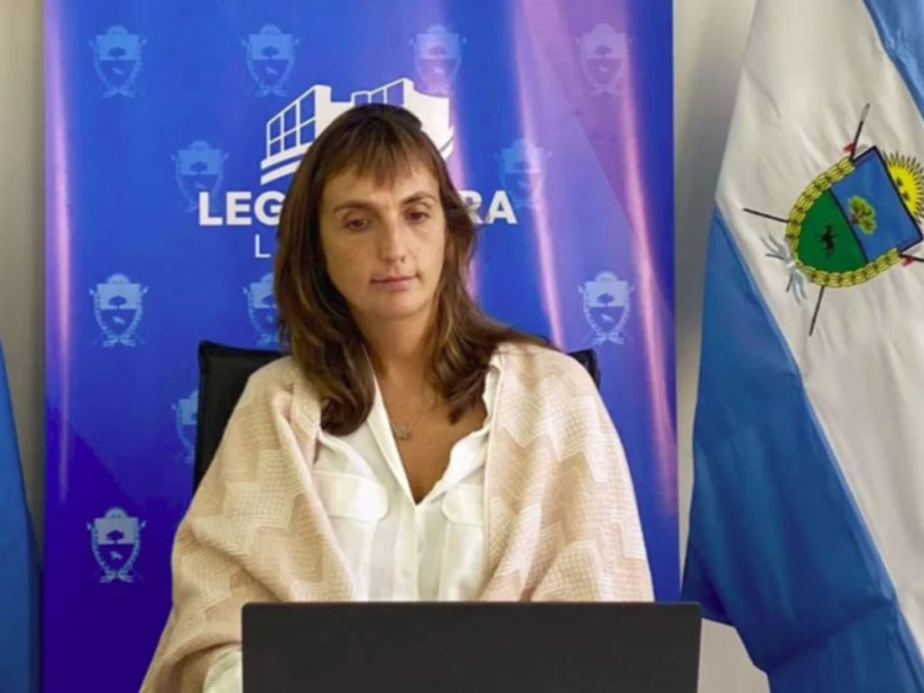 DNU 70/23: El Parlamento Patagónico lo rechazó en todos sus términos ...